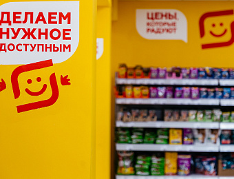 Дискаунтер «Моя цена» - ПАО «Магнит»